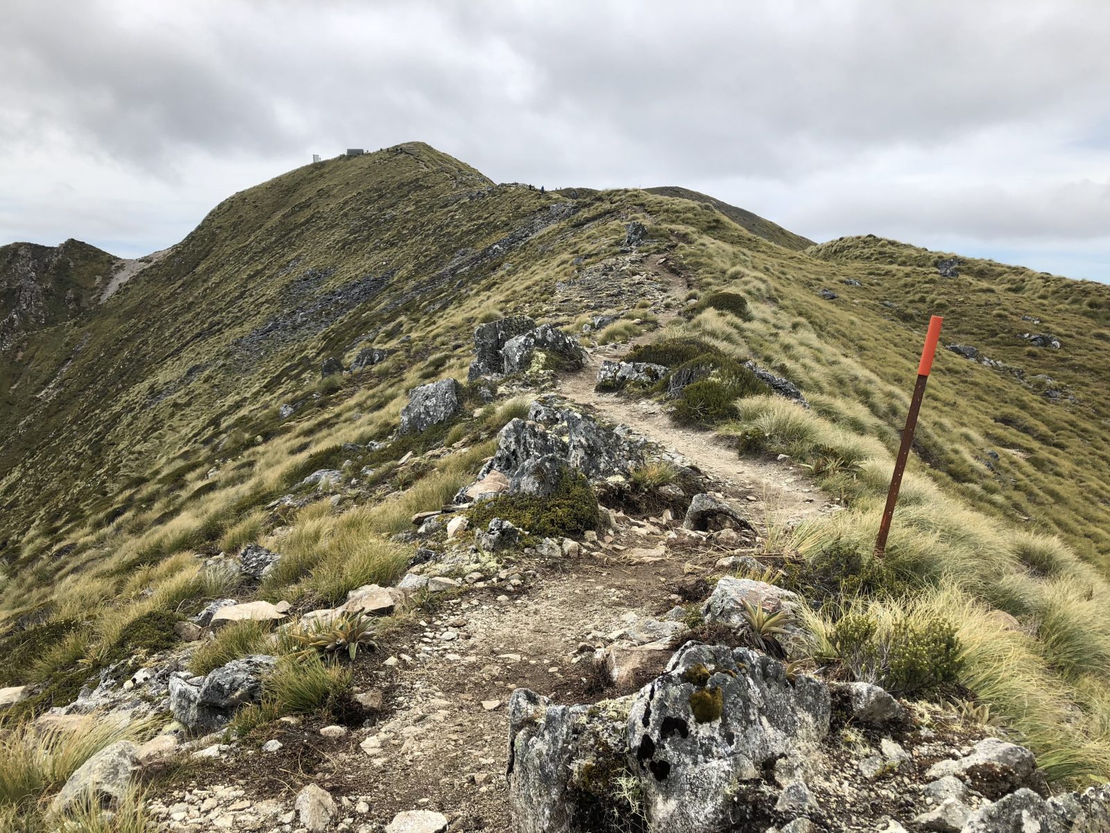 NZ: Den 62 – Shallow Bay Hut – Brod Bay Campsite – anyberry.net