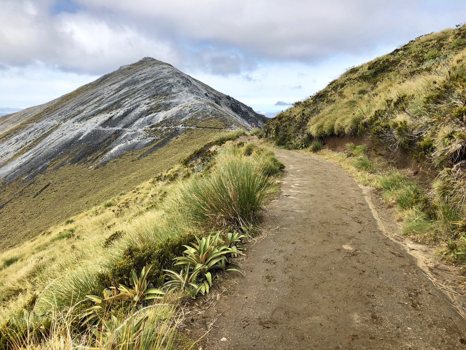 NZ: Den 62 – Shallow Bay Hut – Brod Bay Campsite – anyberry.net